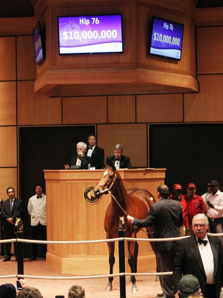 For the Record: Horseracing (That's Mandy Pope and All the Rest) Killed ...