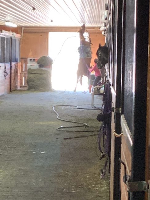 Revisiting the Abhorrent Amber Cobb – Horseracing Wrongs