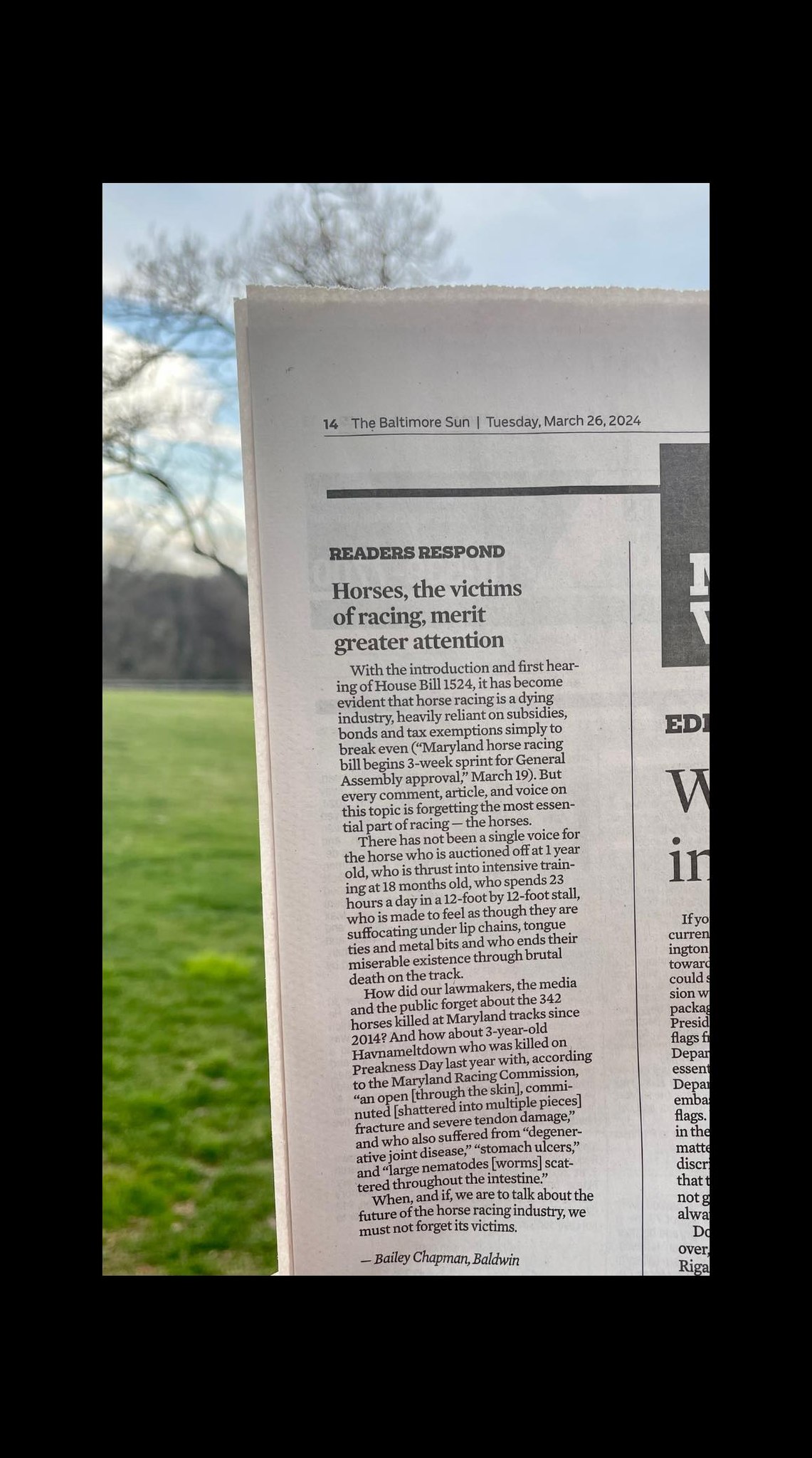 HW's Bailey Chapman, in The Baltimore Sun - Horseracing Wrongs